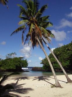 Lepa, Samoa Businesses - Companies Based in Lepa, Samoa - Cybo